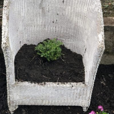DIY Upcycled Chair Planter: Two Ways - Upcycle My Stuff
