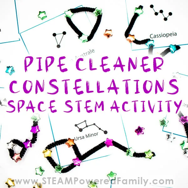 20+ Pipe Cleaner Crafts - Fun and Easy For Any Age - Upcycle My Stuff